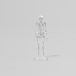 diagram of the male human body 3D Models | Page 1 | STLFinder