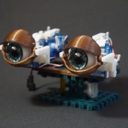 arduino animatronic eyes 3d models 【 STLFinder