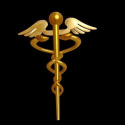 caduceus clay staff 3D Models | Page 1 | STLFinder