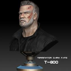 terminator 2d no fate trophy 3D Models | Page 1 | STLFinder