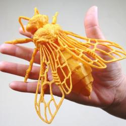 apis mellifera honey bee 3d models | Page 1 | STLFinder