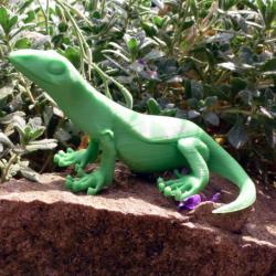 lizard little 3d models 【 STLFinder