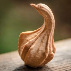 Winged Gourd 3D Models | Page 1 | STLFinder
