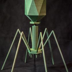 bacteriophage t4 virus 3D Models | Page 1 | STLFinder
