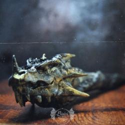 harry potter dragon handler 3D Models | Page 1 | STLFinder