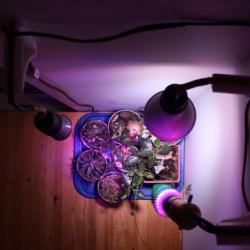 diy miniature dollhouse greenhouse kit 3D Models | Page 1 | STLFinder