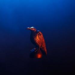 raven prophecy 3D Models | Page 1 | STLFinder