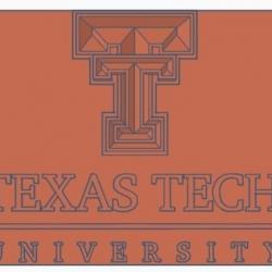 ttu printing 3d models 【 STLFinder