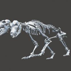 cerberus skeleton 3D Models | Page 1 | STLFinder