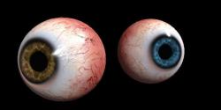 real human eye 3D Models | Page 1 | STLFinder