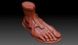 foot 3d model anatomy | Page 1 | STLFinder
