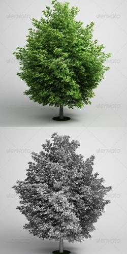 CGAXIS tree 08 3D Models | Page 1 | STLFinder