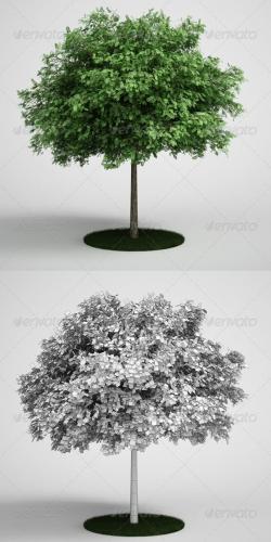 thornless locust tree 3D Models | Page 1 | STLFinder