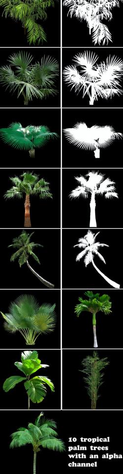 tree alpha channel 3D Models | Page 1 | STLFinder