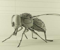 3d fly | Page 1 | STLFinder