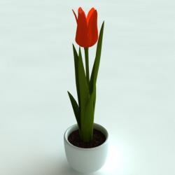 3d tulip 【 STLFinder