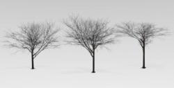 low polly tree 3D Models | Page 1 | STLFinder