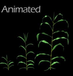 3d animated dick growth experiments | Page 1 | STLFinder