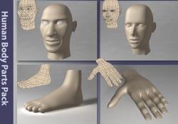 inner human body parts 3D Models | Page 1 | STLFinder