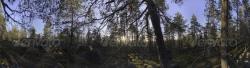 hdri forest 3D Models | Page 1 | STLFinder