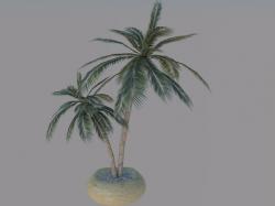 palm les model | Page 1 | STLFinder