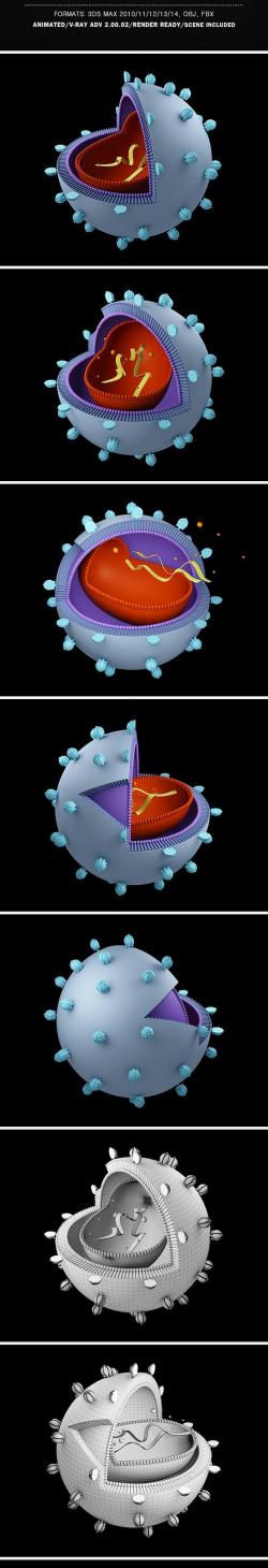 model of hiv virus | Page 1 | STLFinder