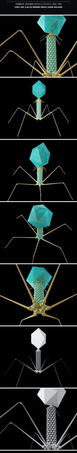 models of viruses | Page 1 | STLFinder
