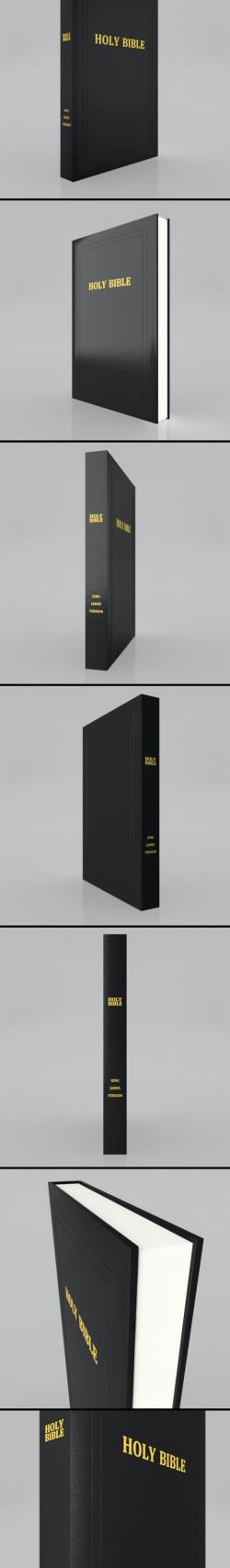 holy bible king james version study bible zipper case large print 3D ...