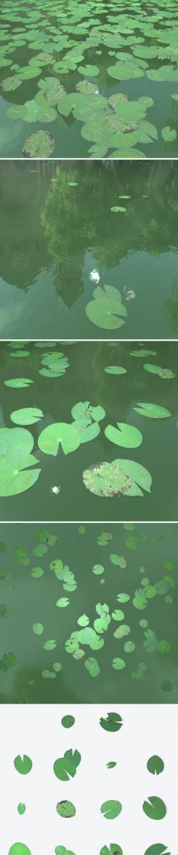 floating lily pads 3d models 【 STLFinder