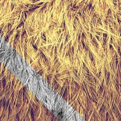 akira faux fur blood hood vest 3D Models | Page 1 | STLFinder