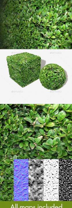 shrub texture 3D Models | Page 1 | STLFinder