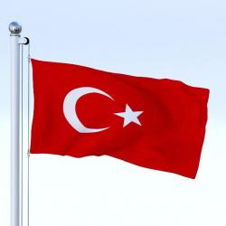 turkey animated flag 3D Models | Page 1 | STLFinder