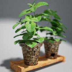 mint shredder 3d models 【 STLFinder