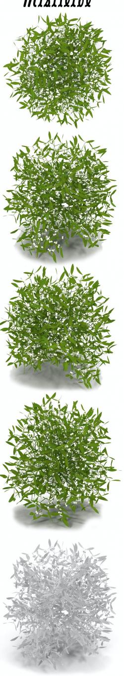 mistletoe bird drawings 3D Models | Page 1 | STLFinder