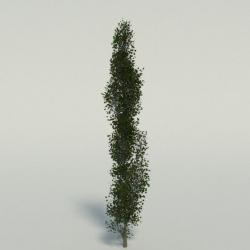 poplar trees 3D Models | Page 1 | STLFinder