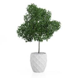 potted tree 3D Models | Page 1 | STLFinder