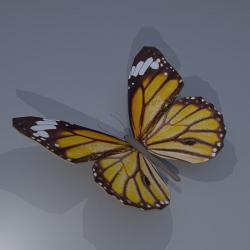 simple butterfly 3D Models | Page 1 | STLFinder