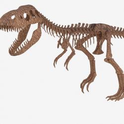 tyrannosaurus rex skeleton toy 3d models 【 STLFinder