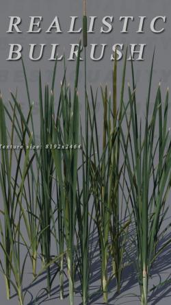bulrush adaptations 3D Models | Page 1 | STLFinder