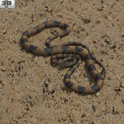 40mm bushmaster iv 3D Models | Page 1 | STLFinder