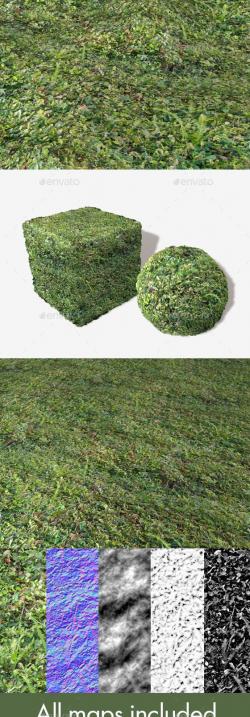 forest floor texture 3d models 【 STLFinder