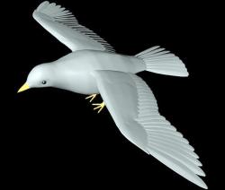 dove bird 3d models 【 STLFinder