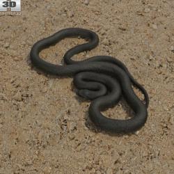 green 2go holding and flush tank concentrate anaconda 3D Models | Page ...