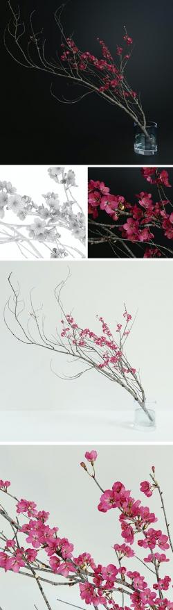 branch with flowers 3D Models | Page 1 | STLFinder