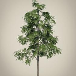vray tree 3D Models | Page 1 | STLFinder