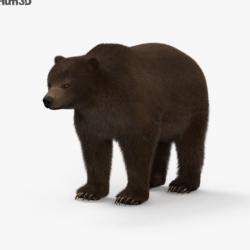 alaska s grizzly gauntlet hd fanart tv poster 3D Models | Page 1 ...