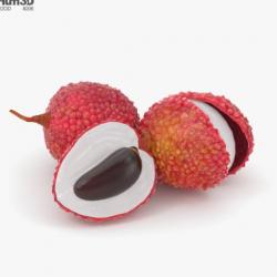 lychee 3D Models | Page 1 | STLFinder