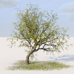 ovation at oak tree 3d models 【 STLFinder