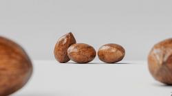 pecan spinwheels 3D Models | Page 1 | STLFinder