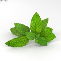 peppermint models srb2 download reddit | Page 1 | STLFinder